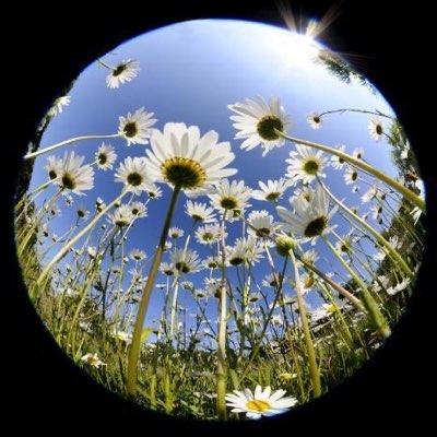 The Cozy Charm of Cluttercore Decor: Creating a Personalized Home